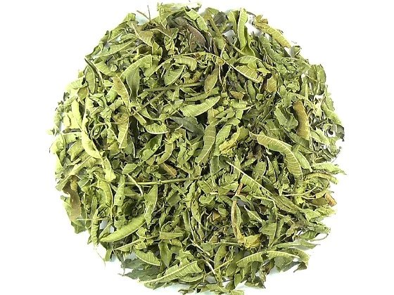 Werbena Cytrynowa Liście - Kulinarny Aromat Cytryny